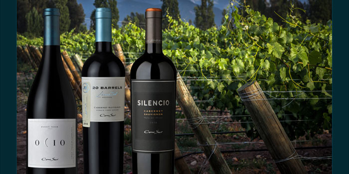 Cono Sur Vineyards & Winery, Chile